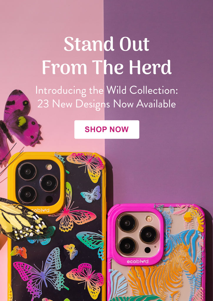 Eco-Friendly Sustainable Phone Cases & Accessories | EcoBlvd